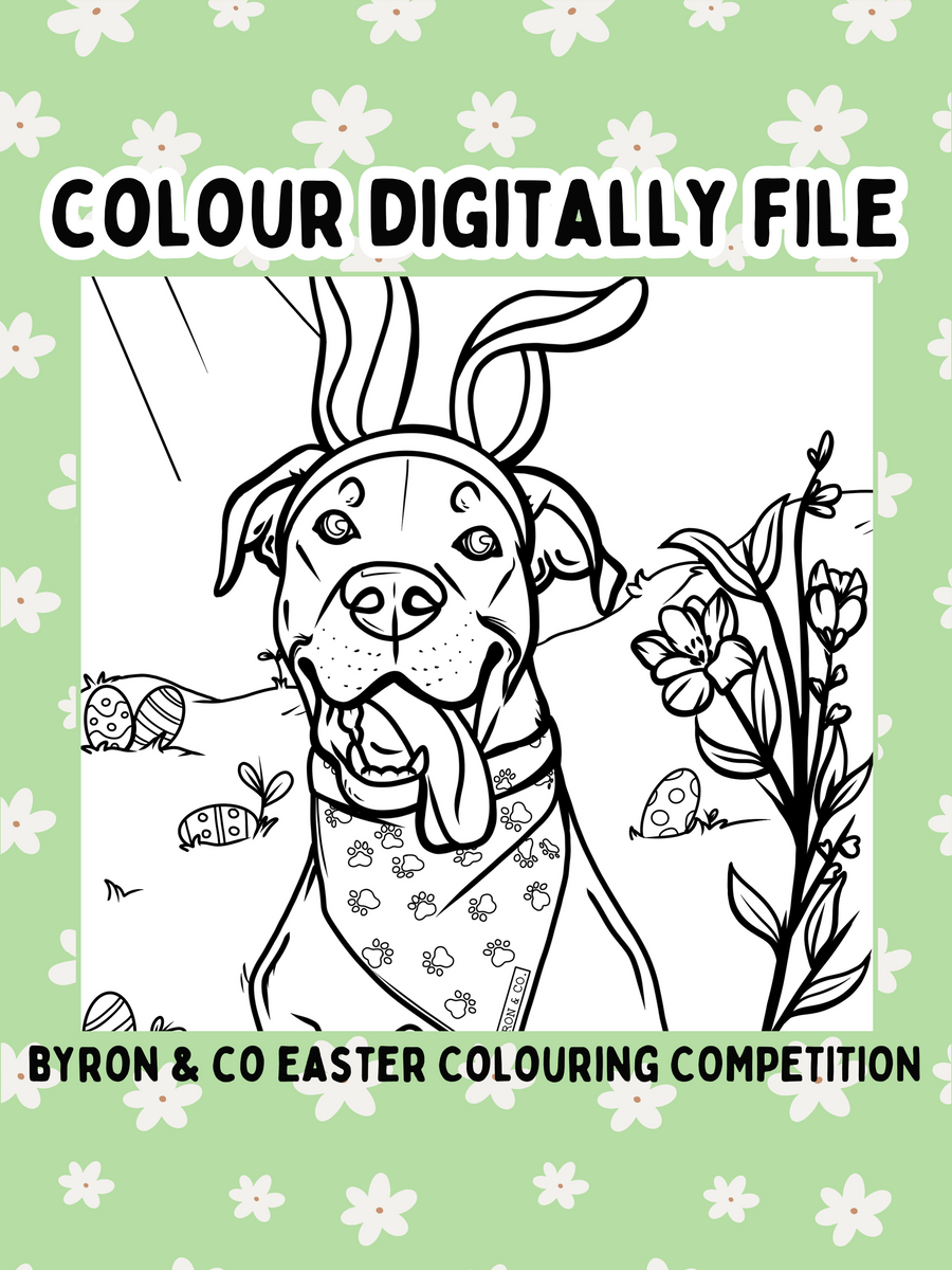 Easter Colouring In Competition - Colour In Digitally Digital File