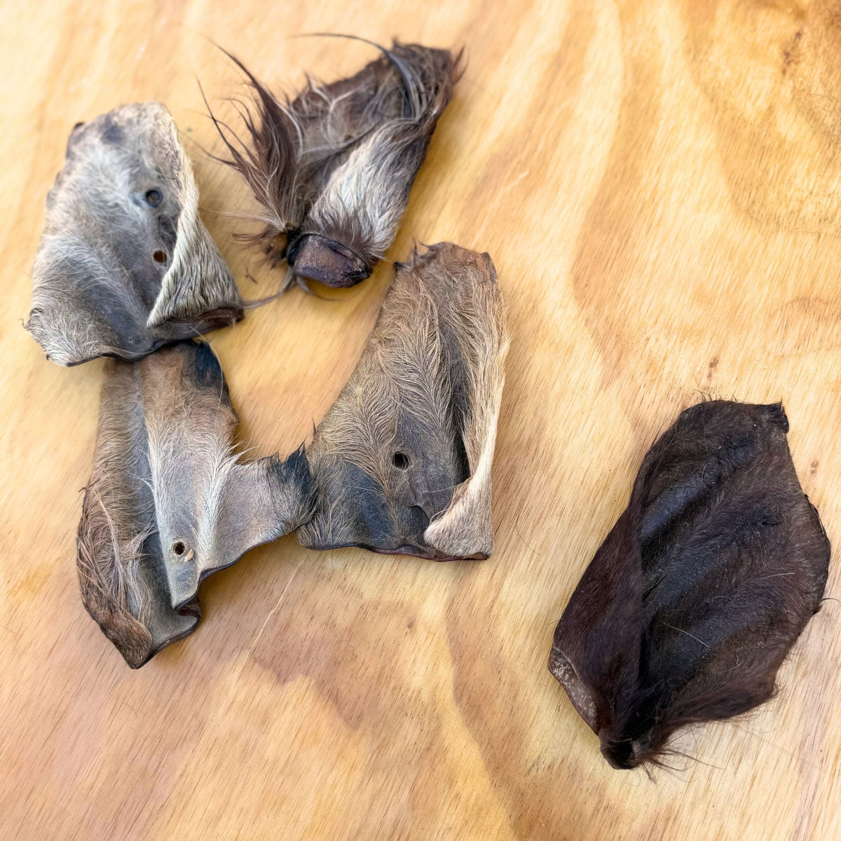 Beef Ears With Fur | Dog Treat Chew | Hairy Cow Ears