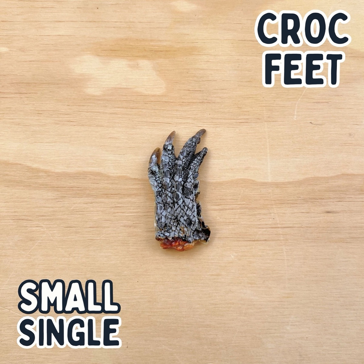 Crocodile Feet for Dogs | Dog Treat Chew | Croc Feet