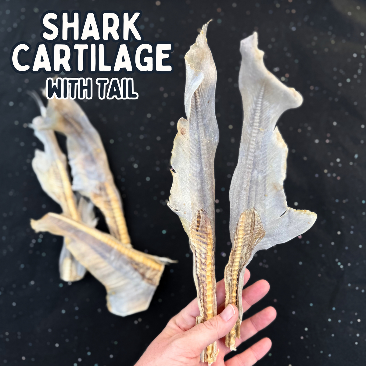 Shark Cartilage with Tail Treat | Natural Chew