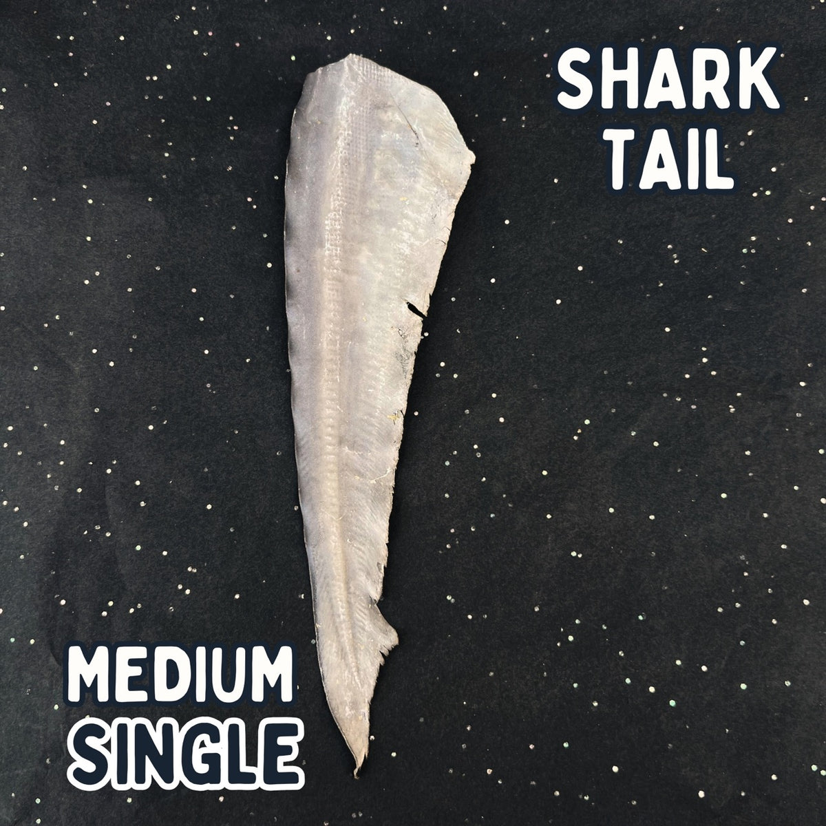 Shark Tail Treat For Dogs | Long Lasting Dog Chew | Natural Chew